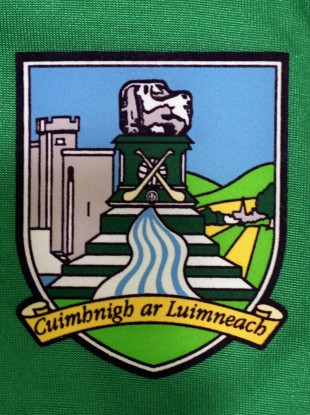 Limerick dethrone Tipp with Munster minor semi-final victory · The42