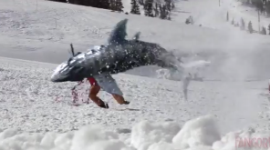 First there was Sharknado… now, there’s Sharkalanche