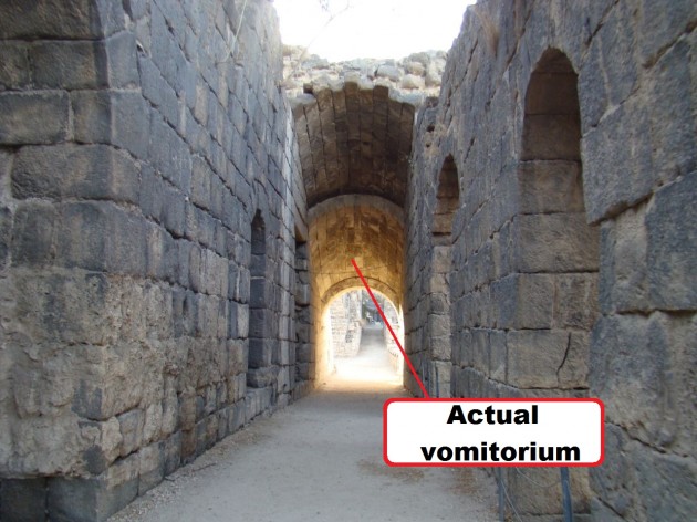 11 facts everyone knows that are actually completely wrong