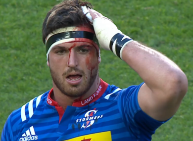 Munster confirm signing of South African lock Kleyn on three-year deal